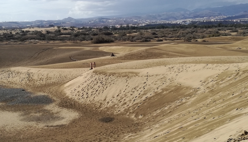 Ces dunes s'ouvrent sur de très beaux paysages tournés vers la mer ou ...
